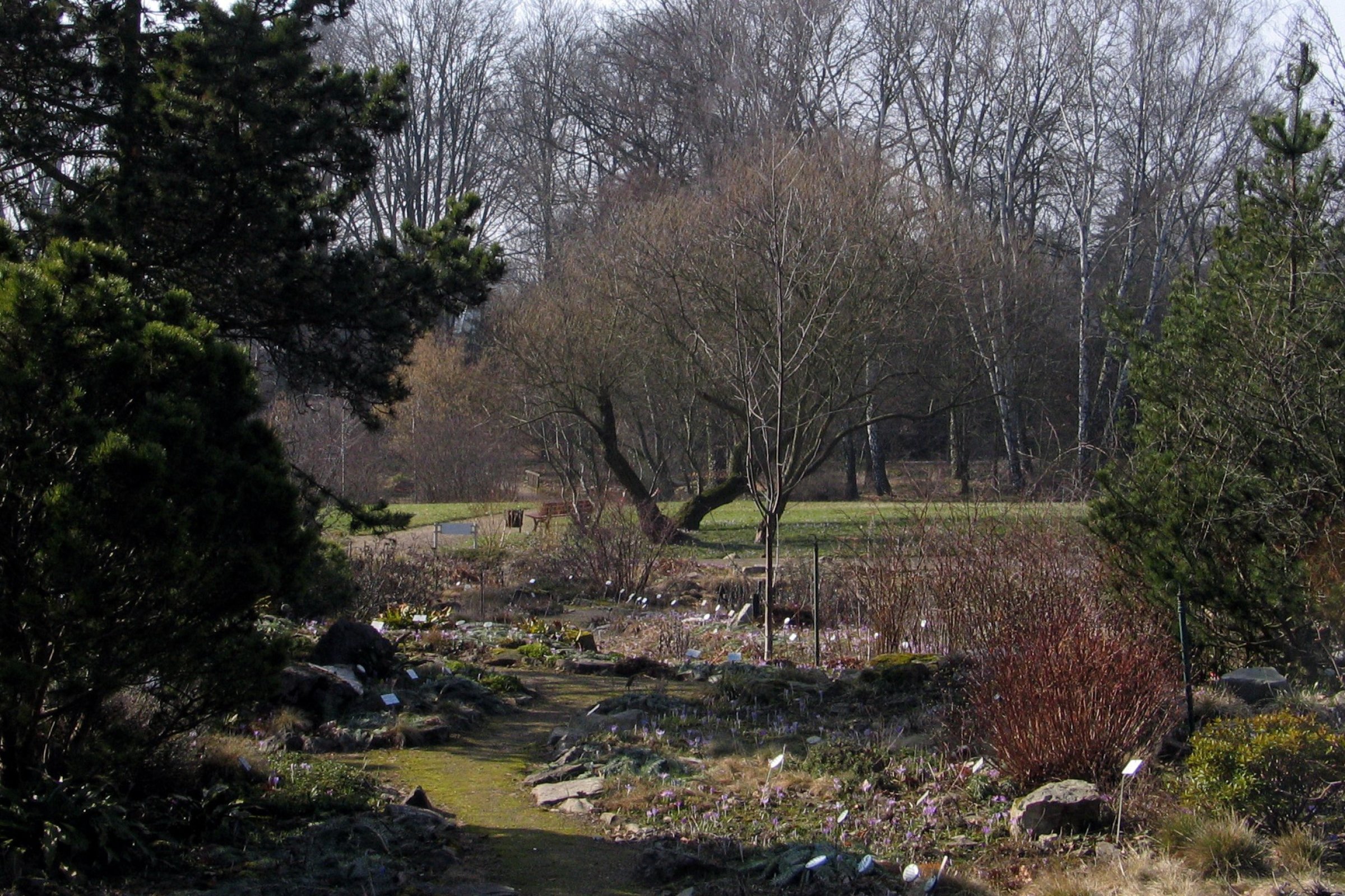 Alpinum / Botanischer Garten Frankfurt